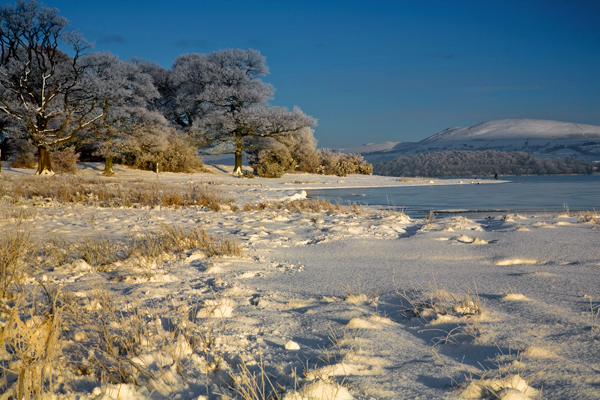 Wild Cumbria, Photography by Steve Walby